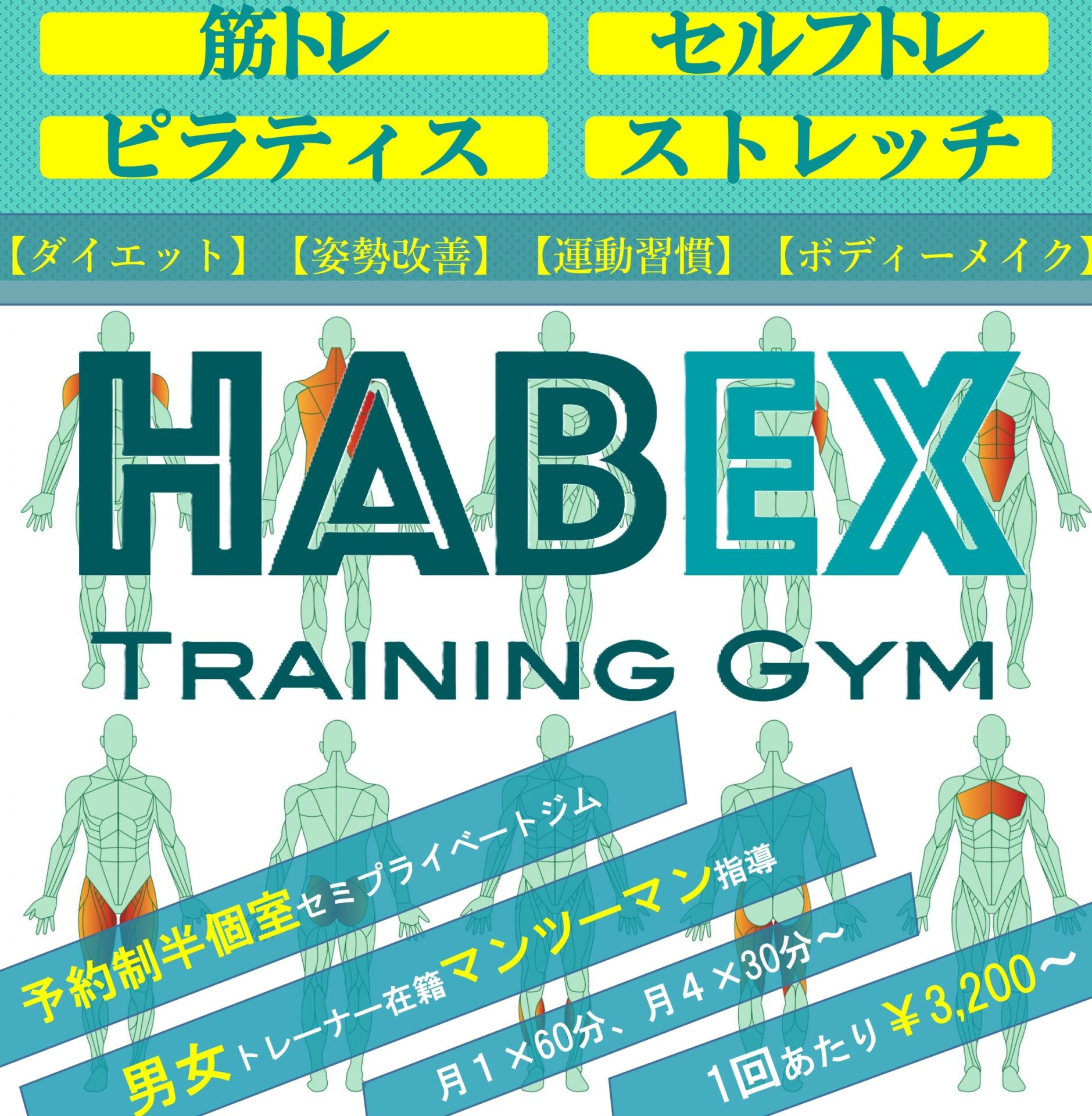 HABEX TRAINING GYM – 東京都中野区のパーソナルトレーニングジム – 「こんなジムがあったらなぁ…」をとことん実現！
